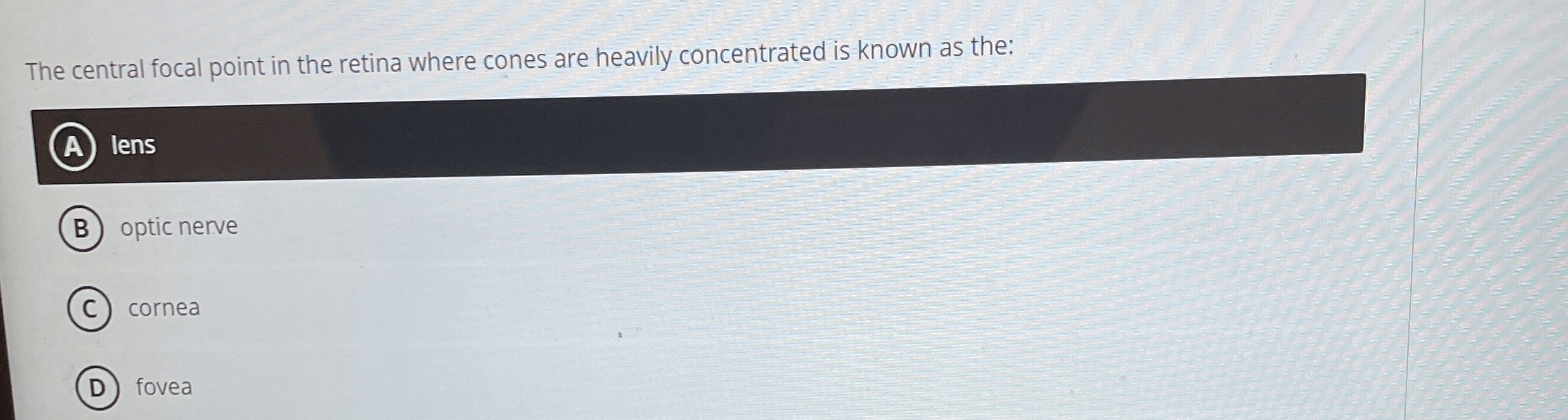 Solved The central focal point in the retina where cones are | Chegg.com