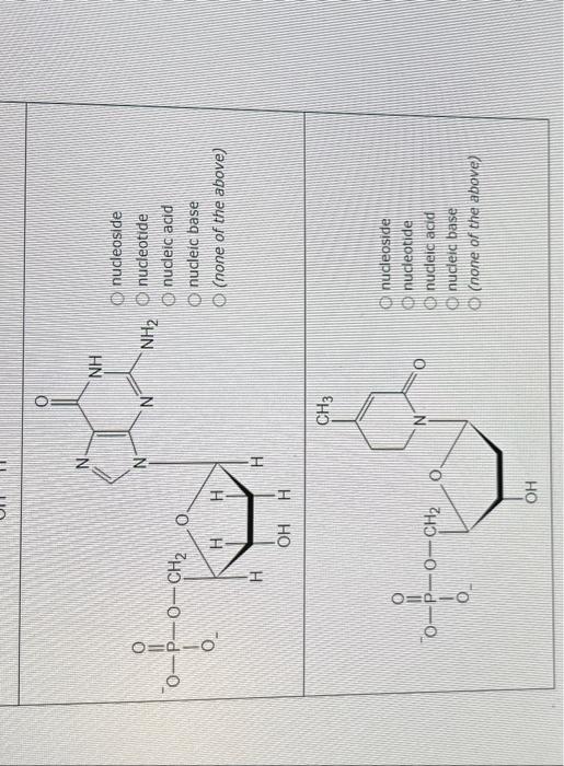 Solved Classify each molecule: nucleoside nucleotide nucleic | Chegg.com