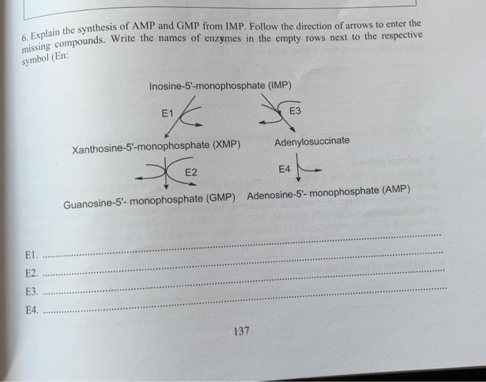 Solved 6. Explain the synthesis of AMP and GMP from IMP. | Chegg.com