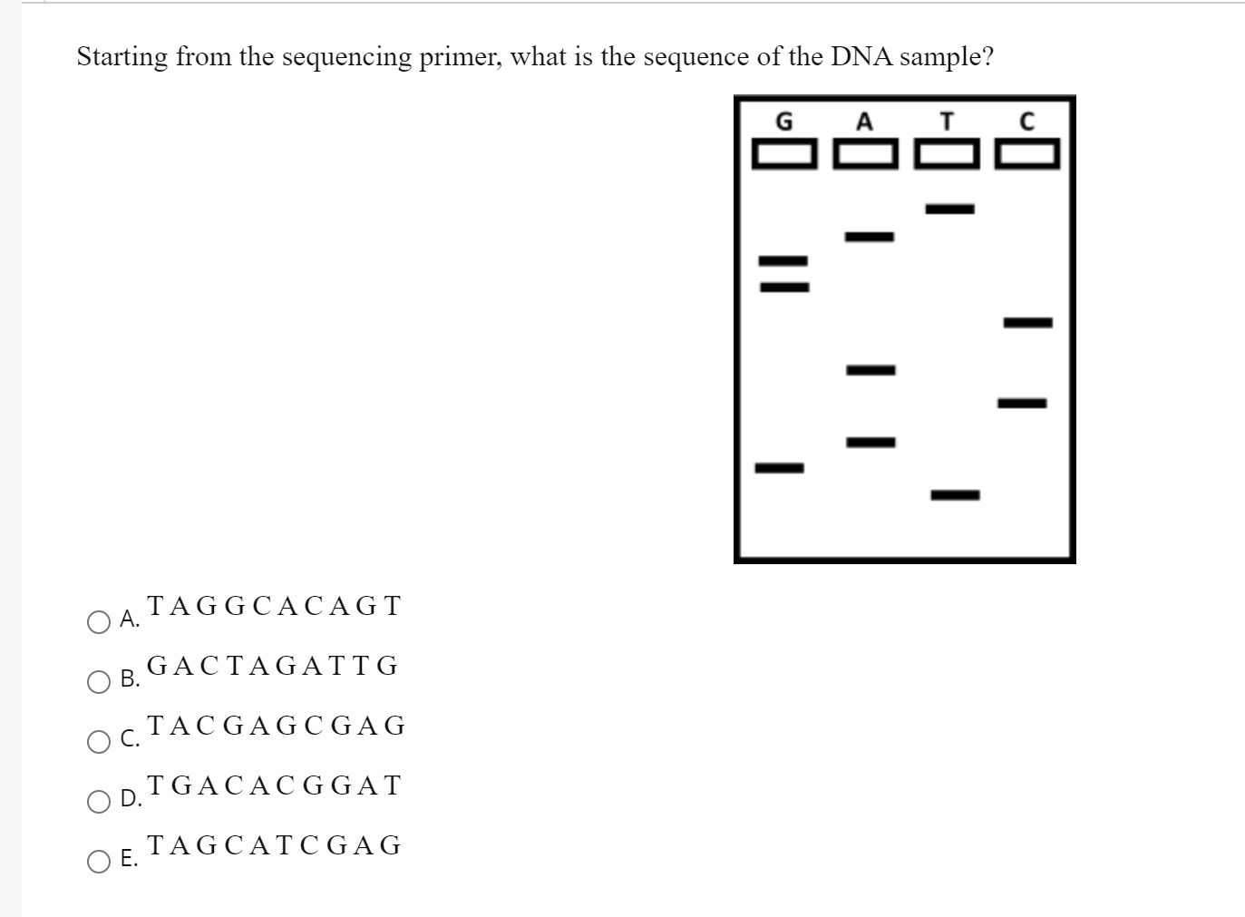 Starting from the sequencing primer, what is the | Chegg.com