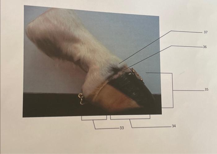 Solved identify the following structures | Chegg.com