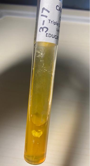 Solved Data Tables for Biochemical Tests Data Table 1: TSI | Chegg.com