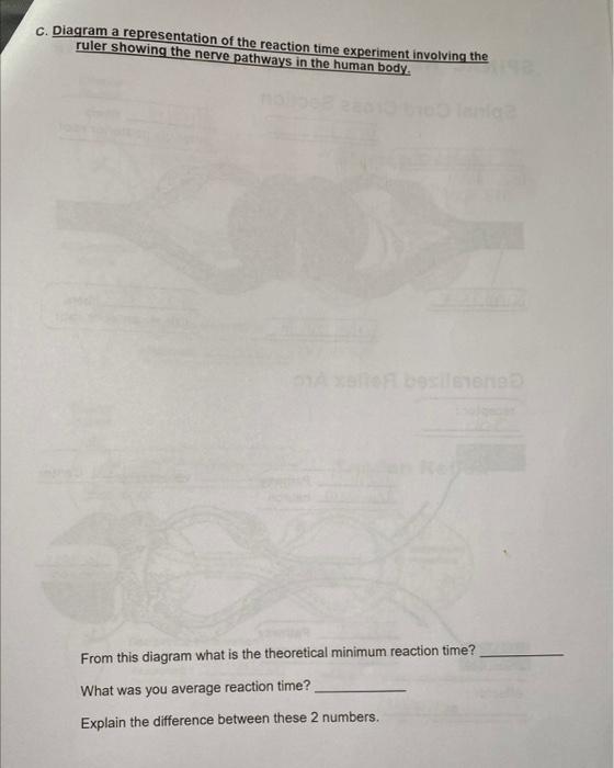 Solved c. Diagram a representation of the reaction time | Chegg.com