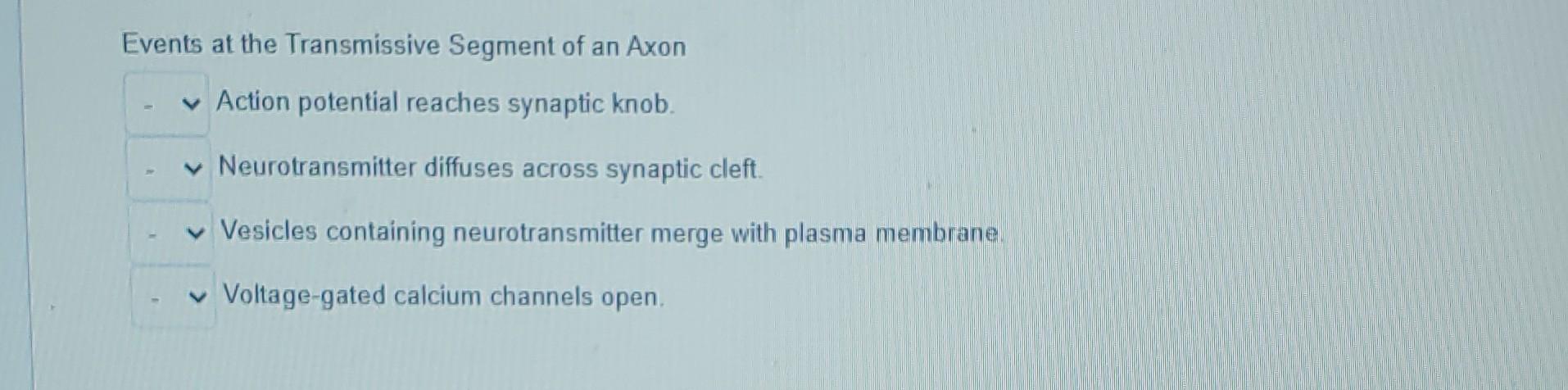 Solved Events at the Transmissive Segment of an Axon Action | Chegg.com
