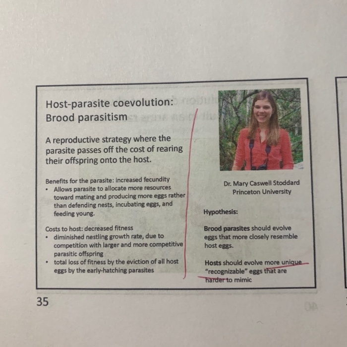 Solved Host-parasite coevolution: Brood parasitism A | Chegg.com