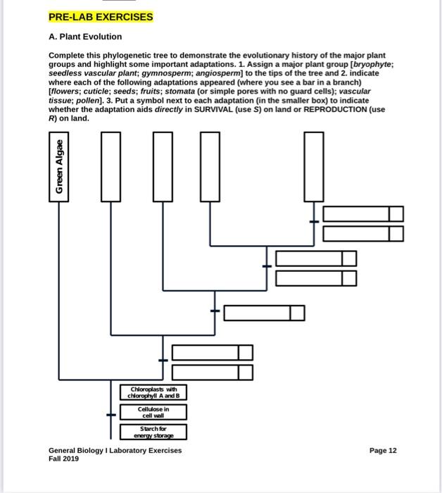 Solved PRE-LAB EXERCISES A. Plant Evolution Complete this | Chegg.com