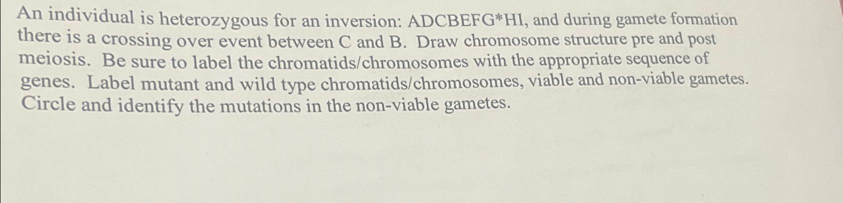Solved An individual is heterozygous for an inversion: | Chegg.com