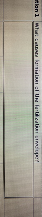 Solved stion 1 What causes formation of the fertilization | Chegg.com