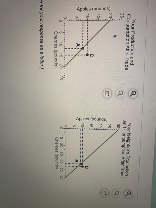 Solved Your Production and Consumption After Trade Your | Chegg.com