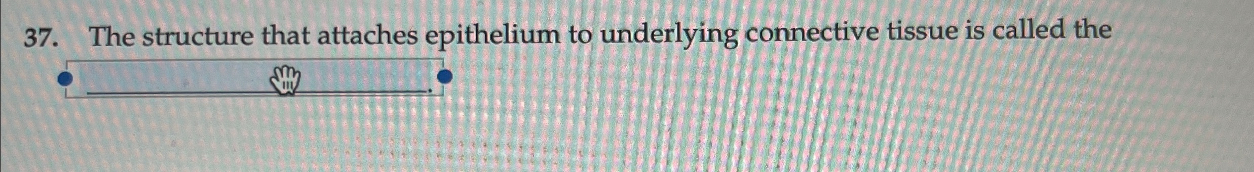 Solved The structure that attaches epithelium to underlying | Chegg.com