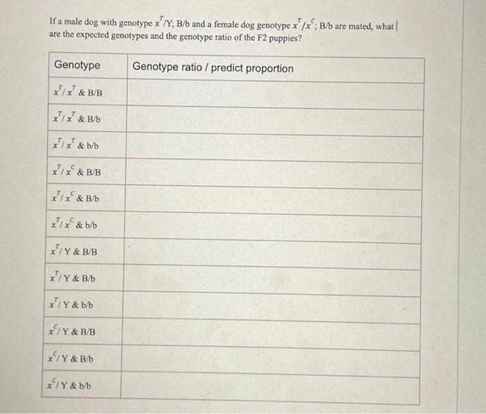 Solved If a male dog with genotype xT/Y;B/b and a female dog | Chegg.com