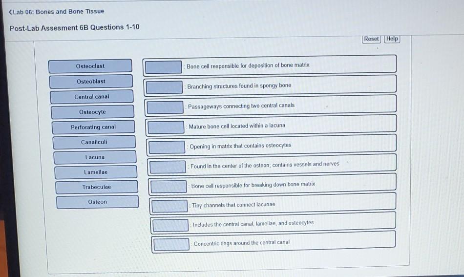 Solved Question | Chegg.com