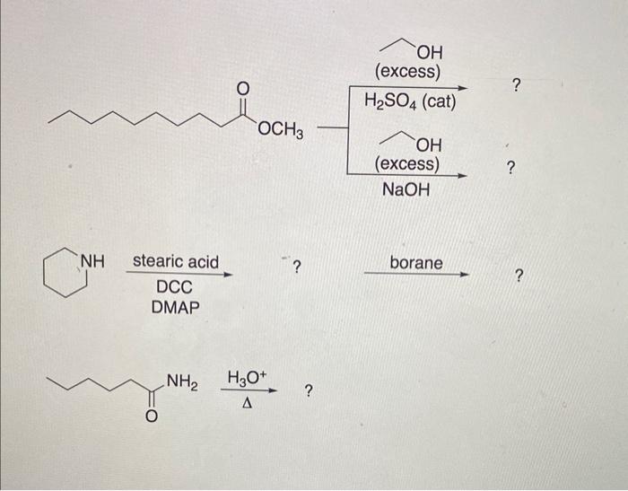 Solved DCC stearic acid ? borane ? DMAP | Chegg.com