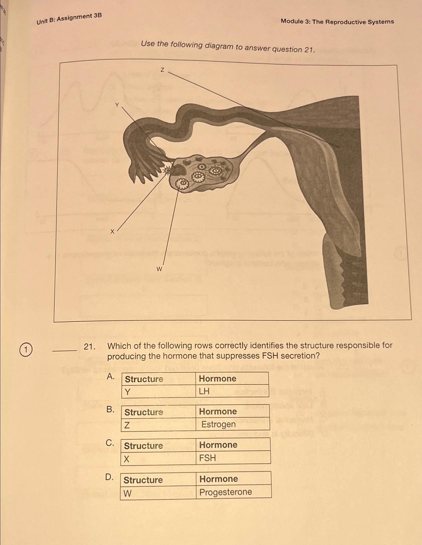 Solved Unit B: Assignment 3BModule 3: The Reproductive | Chegg.com