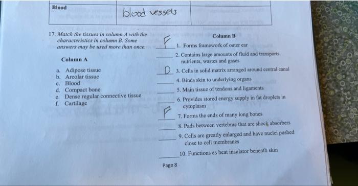 17. Match the tissues in column A with the | Chegg.com