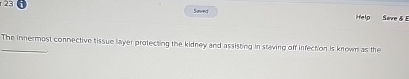 Solved Tho innermost connective tissue loyer protecting the | Chegg.com