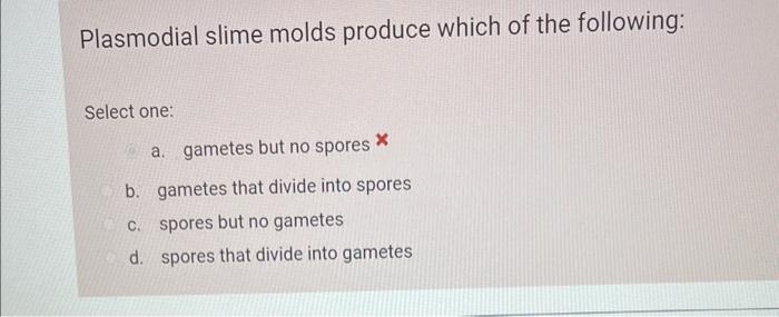 Solved Plasmodial slime molds produce which of the | Chegg.com