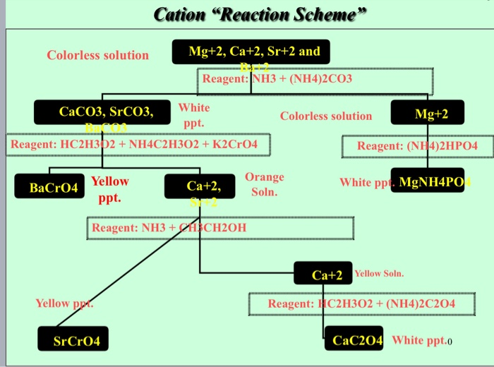 Solved Write the name and formula of the product which make | Chegg.com