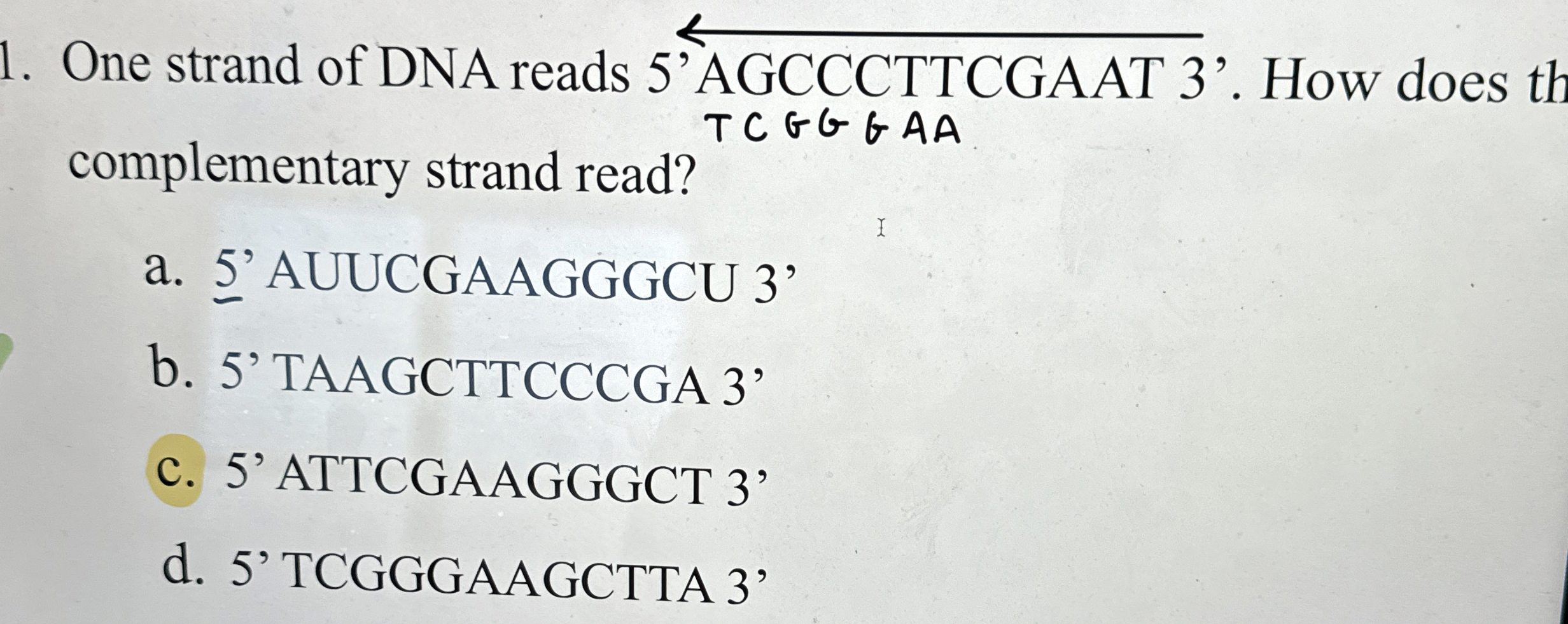 Solved One strand of DNA reads 55'AGCCCTTCGAAT3'. ﻿How does | Chegg.com