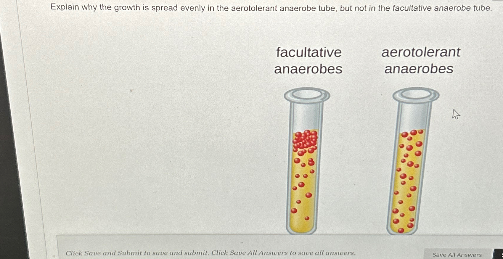 Solved Explain why the growth is spread evenly in the | Chegg.com
