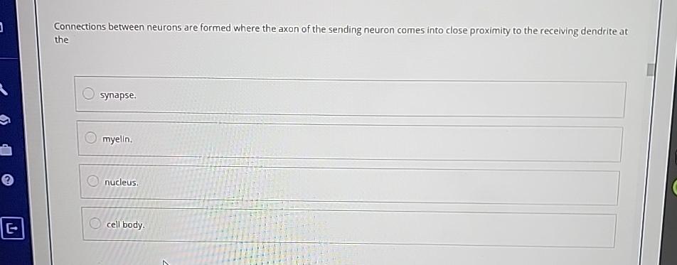 Solved Connections between neurons are formed where the axon | Chegg.com