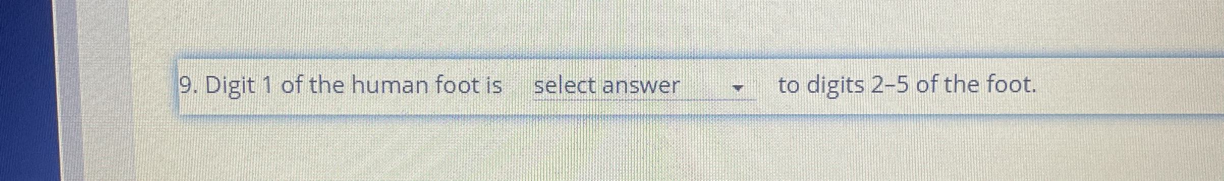 Solved Digit 1 ﻿of the human foot isselect answer to digits | Chegg.com
