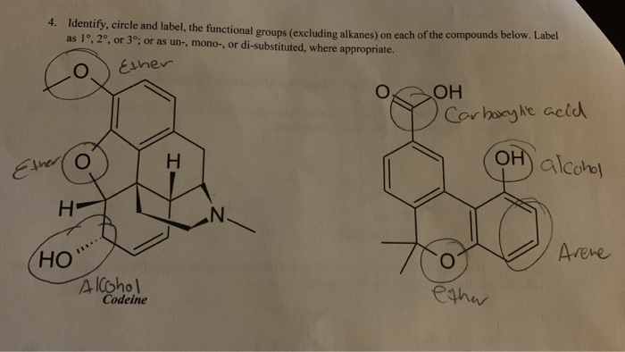 Solved 4. Identify, circle and label, the functional groups | Chegg.com