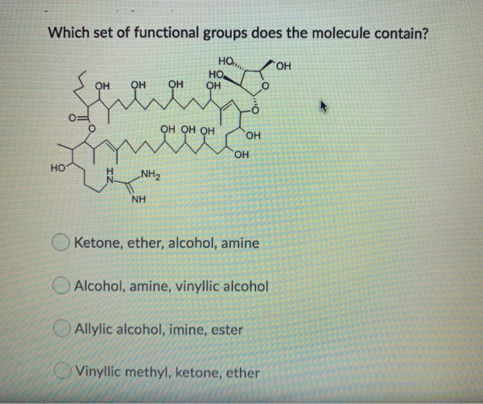 Solved Which set of functional groups does the molecule | Chegg.com