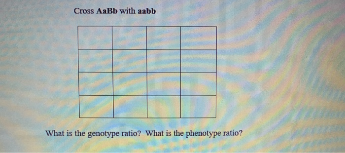 Solved Cross AaBb with aabb What is the genotype ratio? What | Chegg.com