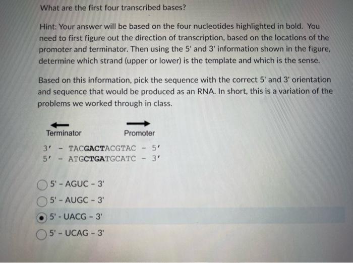 Solved What are the first four transcribed bases? Hint: Your | Chegg.com