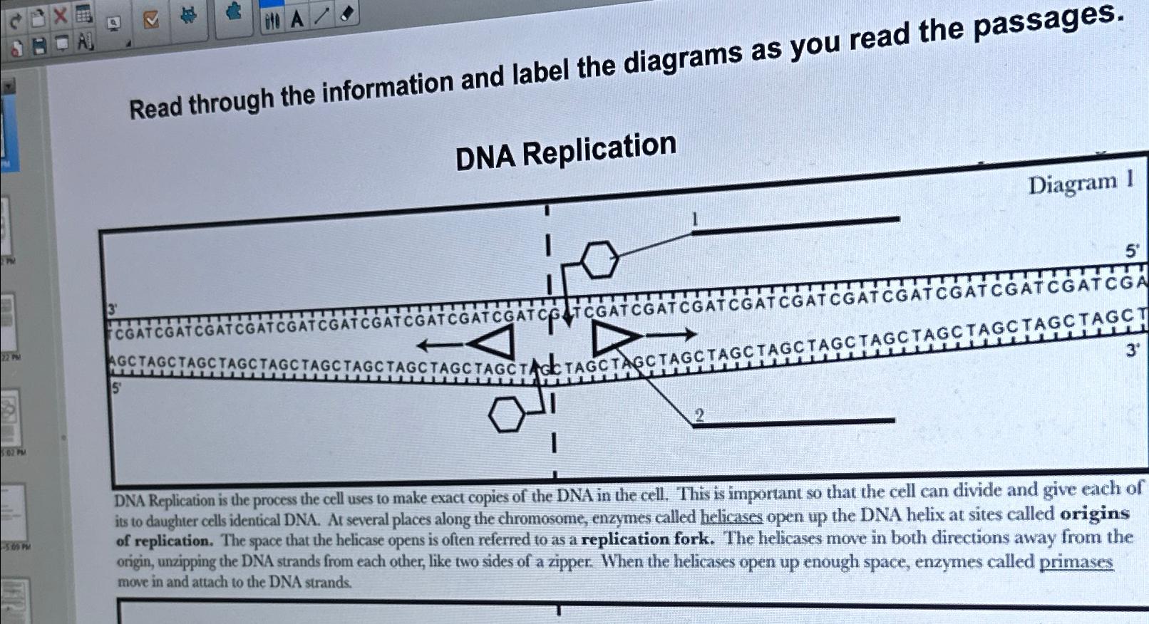 Solved Read through the information and label the diagrams | Chegg.com