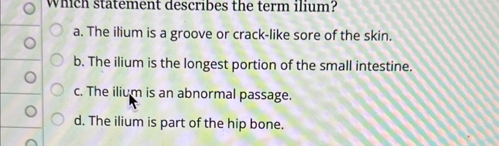Solved wnich statement describes the term ilium?a. ﻿The | Chegg.com