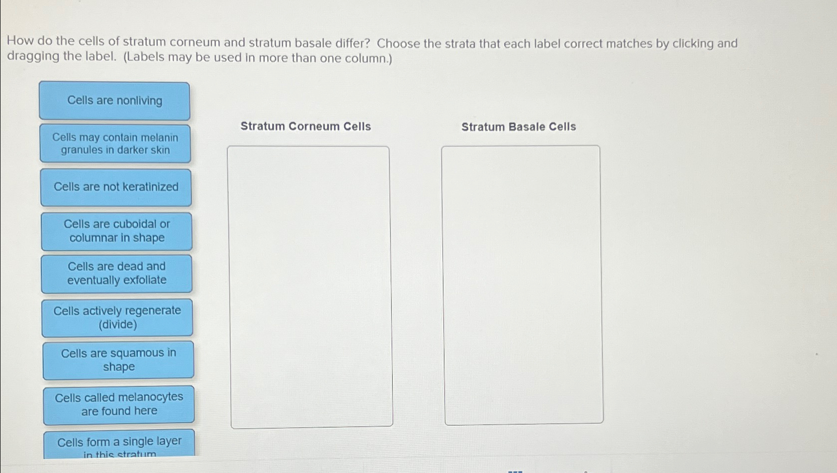 Solved How do the cells of stratum corneum and stratum | Chegg.com Solved How do the cells of stratum corneum and stratum | Chegg.com
