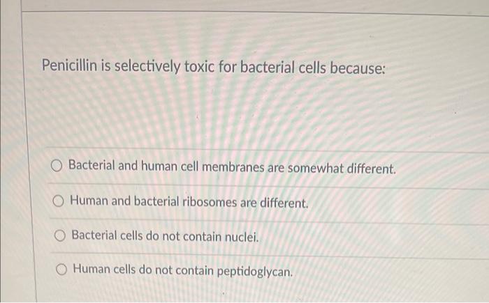 Solved Penicillin is selectively toxic for bacterial cells | Chegg.com