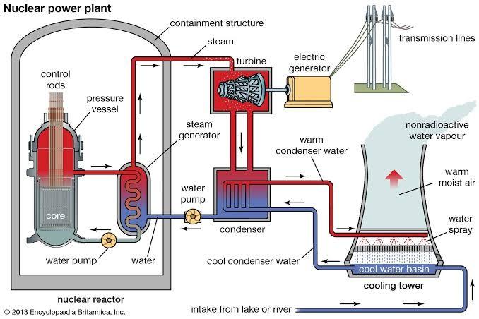 Solved In this nuclear power plant, Conduction, convection | Chegg.com