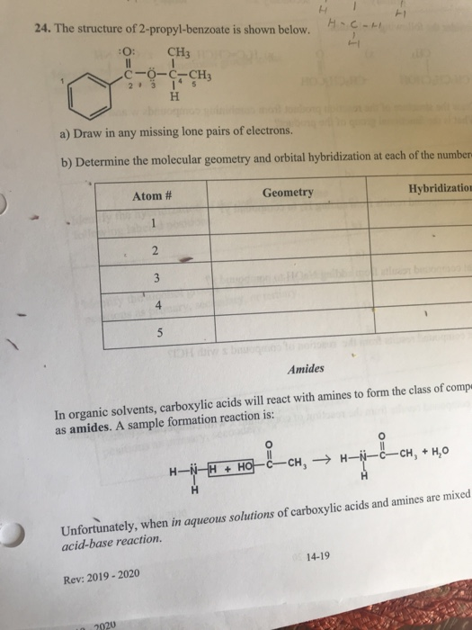 Solved H.com 24. The structure of 2-propyl-benzoate is shown | Chegg.com