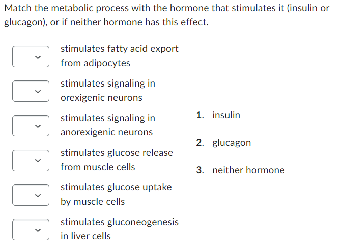 Match the metabolic process with the hormone that | Chegg.com