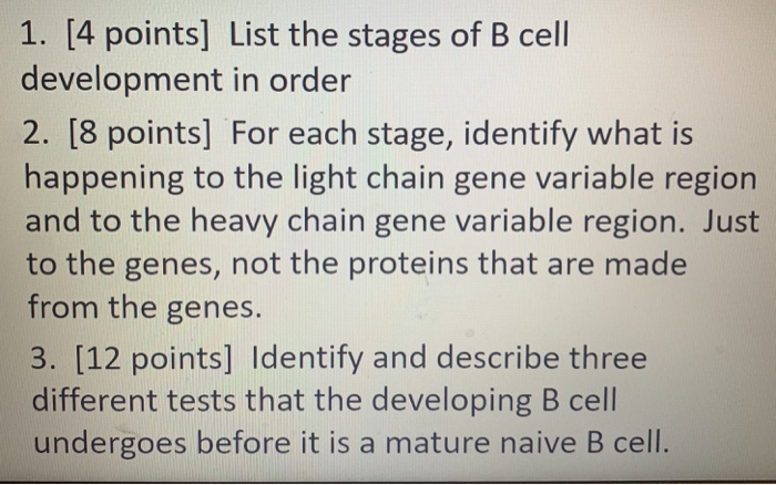 Solved 1. [4 points] List the stages of B cell development | Chegg.com