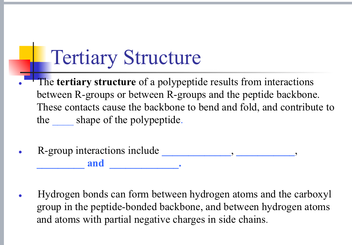 Solved Tertiary StructureThe tertiary structure of a | Chegg.com