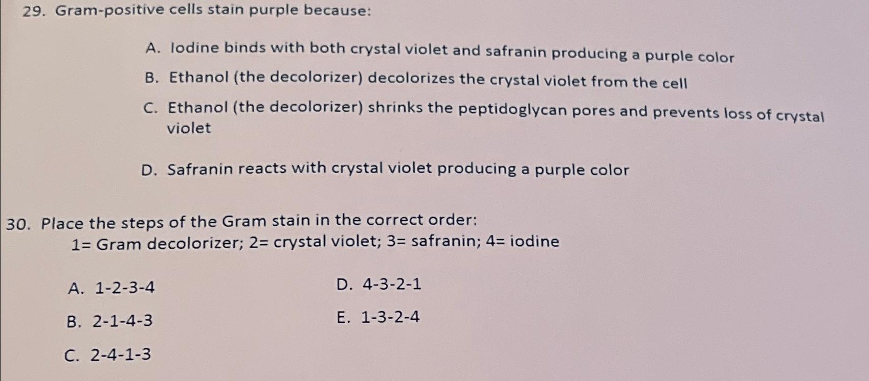 Solved Gram-positive cells stain purple because:A. ﻿lodine | Chegg.com