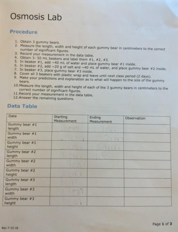 Osmosis Lab Procedure 1. Obtain 3 gummy bears. 2. | Chegg.com