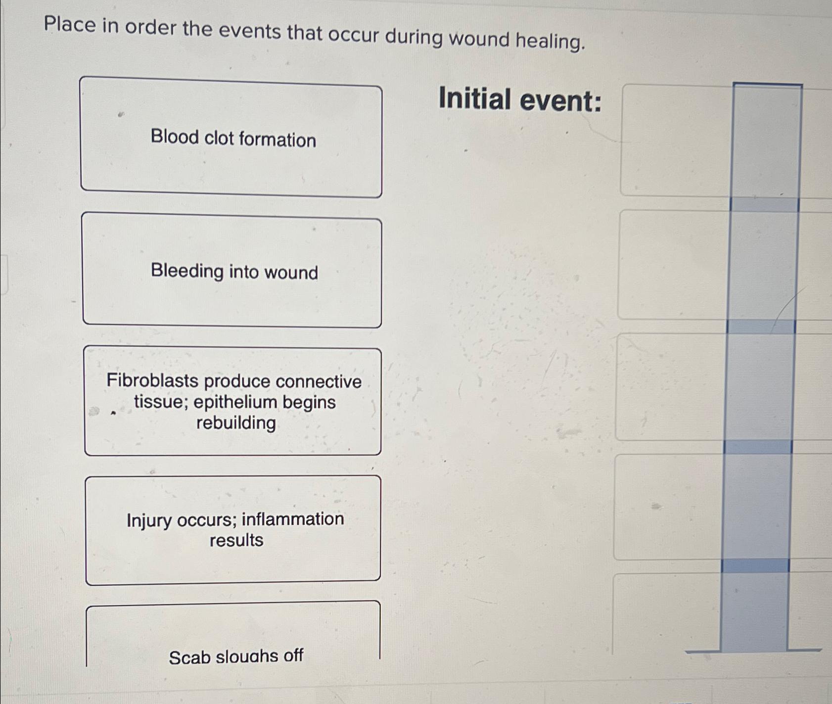 Solved Place in order the events that occur during wound | Chegg.com