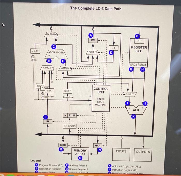 Put the following steps in the order that they occur | Chegg.com