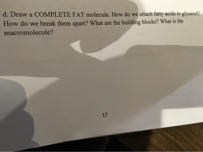 Solved d. Draw a COMPLETE FAT molecule. How do we attach | Chegg.com