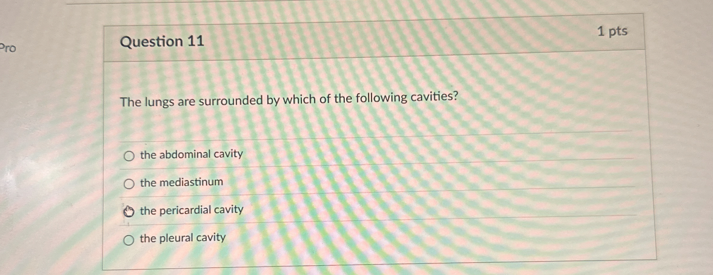 Solved Question 11The lungs are surrounded by which of the | Chegg.com