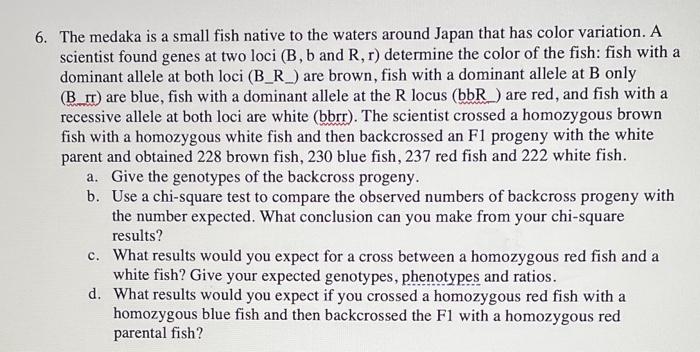 Solved In horses, the Overo gene, Oν, produces a white | Chegg.com