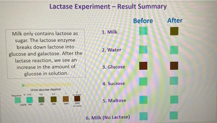 Solved Lactase Experiment This experiment we will test the | Chegg.com