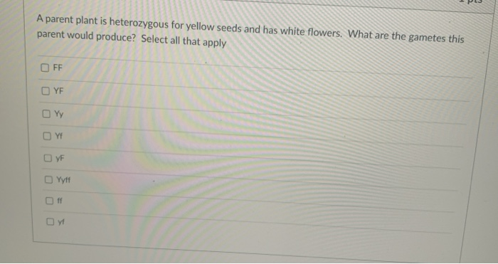 Solved A parent plant is heterozygous for yellow seeds and | Chegg.com