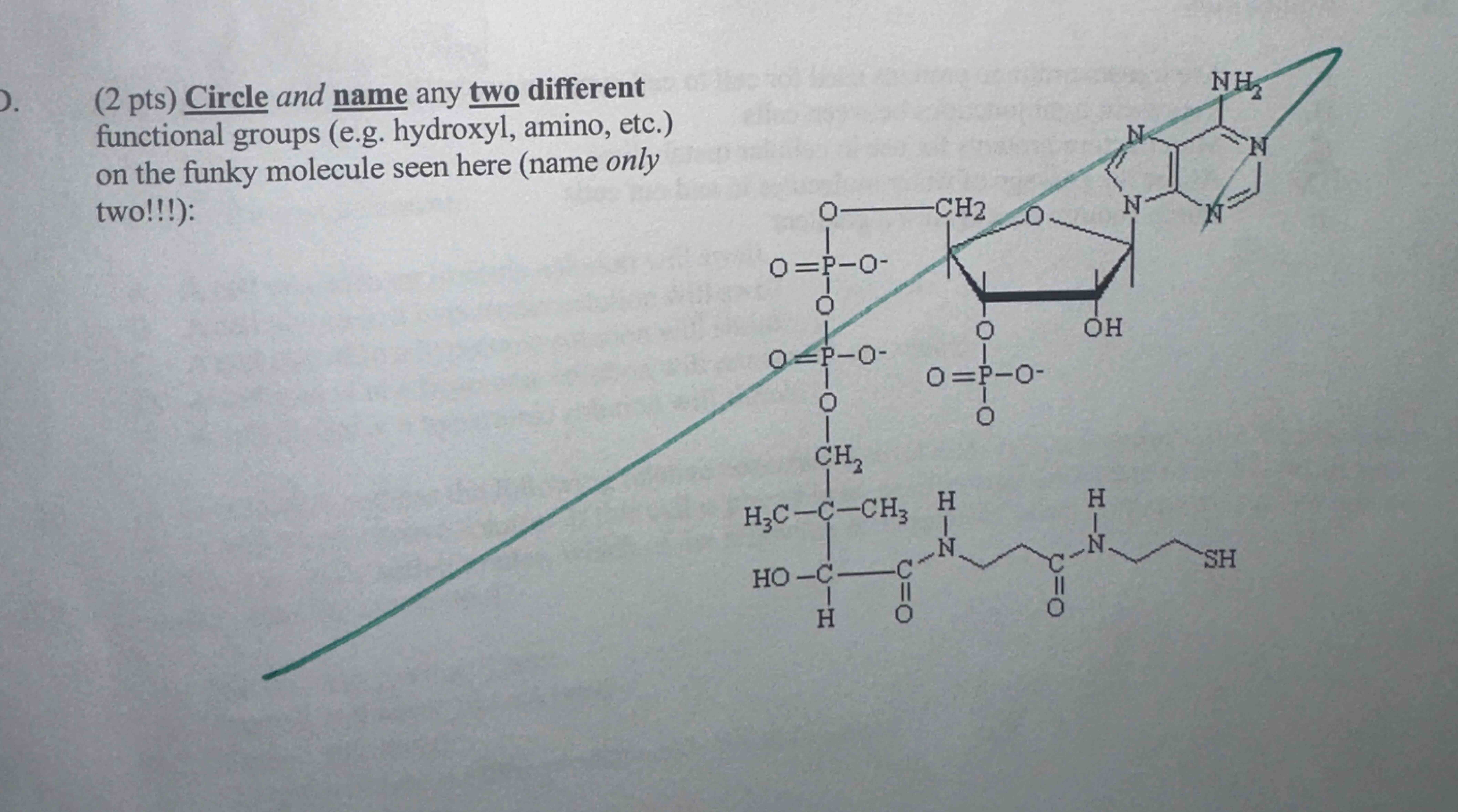 Solved (2 ﻿pts) ﻿Circle and name any two different | Chegg.com