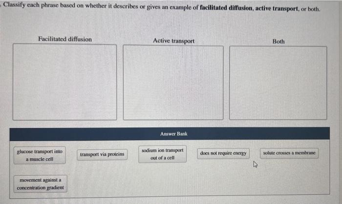 Solved Classify each phrase based on whether it describes or | Chegg.com